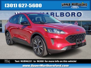 New Ford Trucks SUVs & Cars | New Ford Dealership | Near Bowie